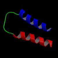 Mouse Gene Cacna1b (ENSMUST00000070864.14) from GENCODE VM33