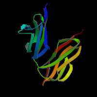 Mouse Gene Fcgr3 (ENSMUST00000169017.8) from GENCODE VM33