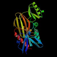 Mouse Gene Syn1 (ENSMUST00000115345.8) from GENCODE VM33