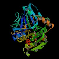 Human Gene ADH1B (ENST00000305046.13) from GENCODE V43