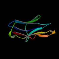 Human Gene PECAM1 (ENST00000563924.6) from GENCODE V47