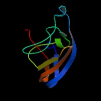 Human Gene KMT5B (ENST00000304363.9) from GENCODE V48
