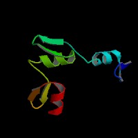Mouse Gene Zeb1 (ENSMUST00000025081.13) from GENCODE VM36