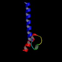 Human Gene FIGLA (ENST00000332372.6) from GENCODE V44