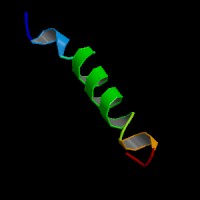 Mouse Gene Sln (ENSMUST00000048485.7) from GENCODE VM33