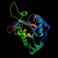 Human Gene TIGAR (ENST00000179259.6) from GENCODE V48