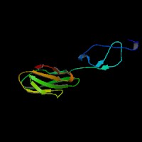 Mouse Gene Slamf1 (ENSMUST00000015460.5) from GENCODE VM33